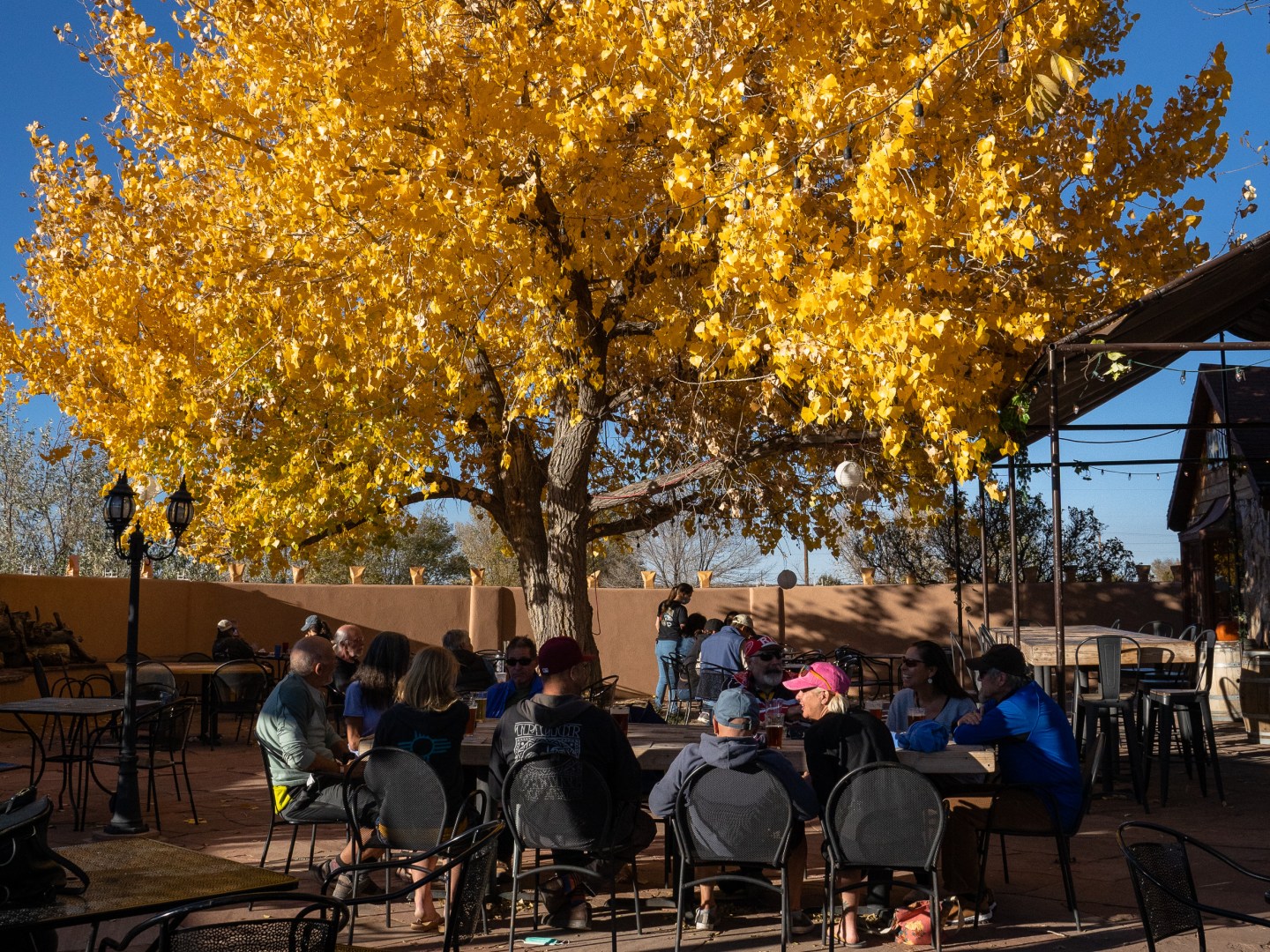 The updated list of every active brewery in the state of New Mexico ...