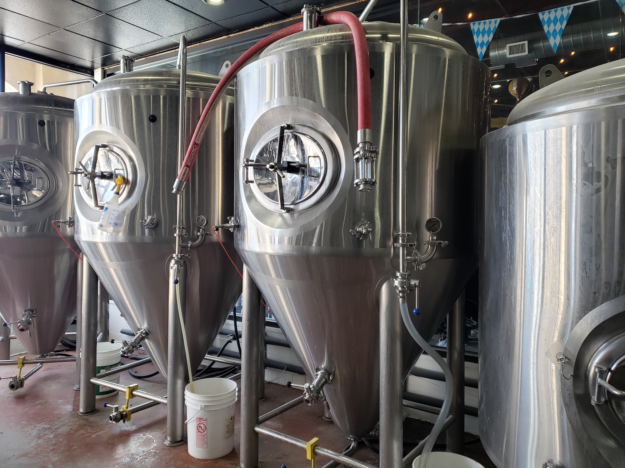 Brew Lab 101 roars back just by keeping things consistent on all fronts ...